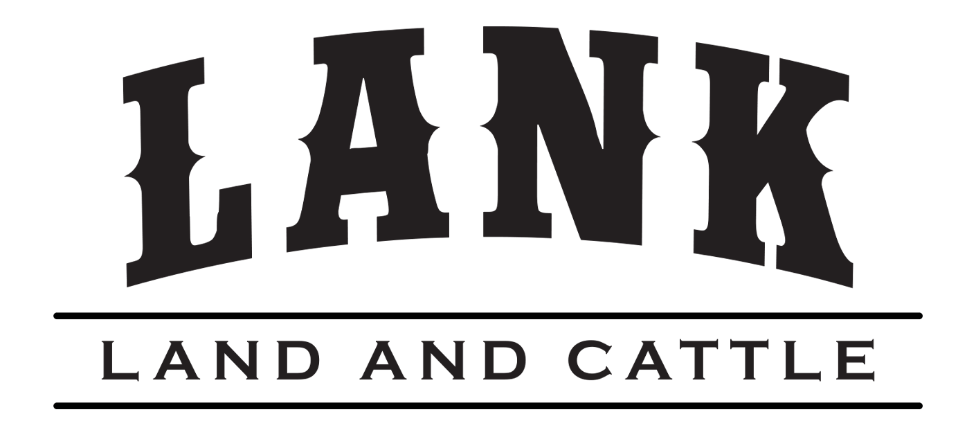 Home - Lank Land and Cattle - Hereford Cattle - Millsap, Texas